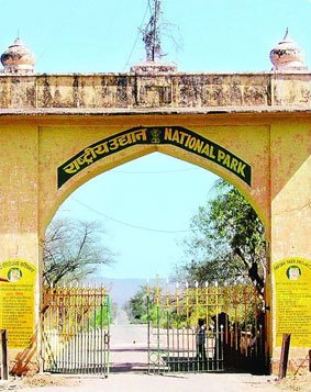 Sariska National Park | Sariska Tiger Reserve